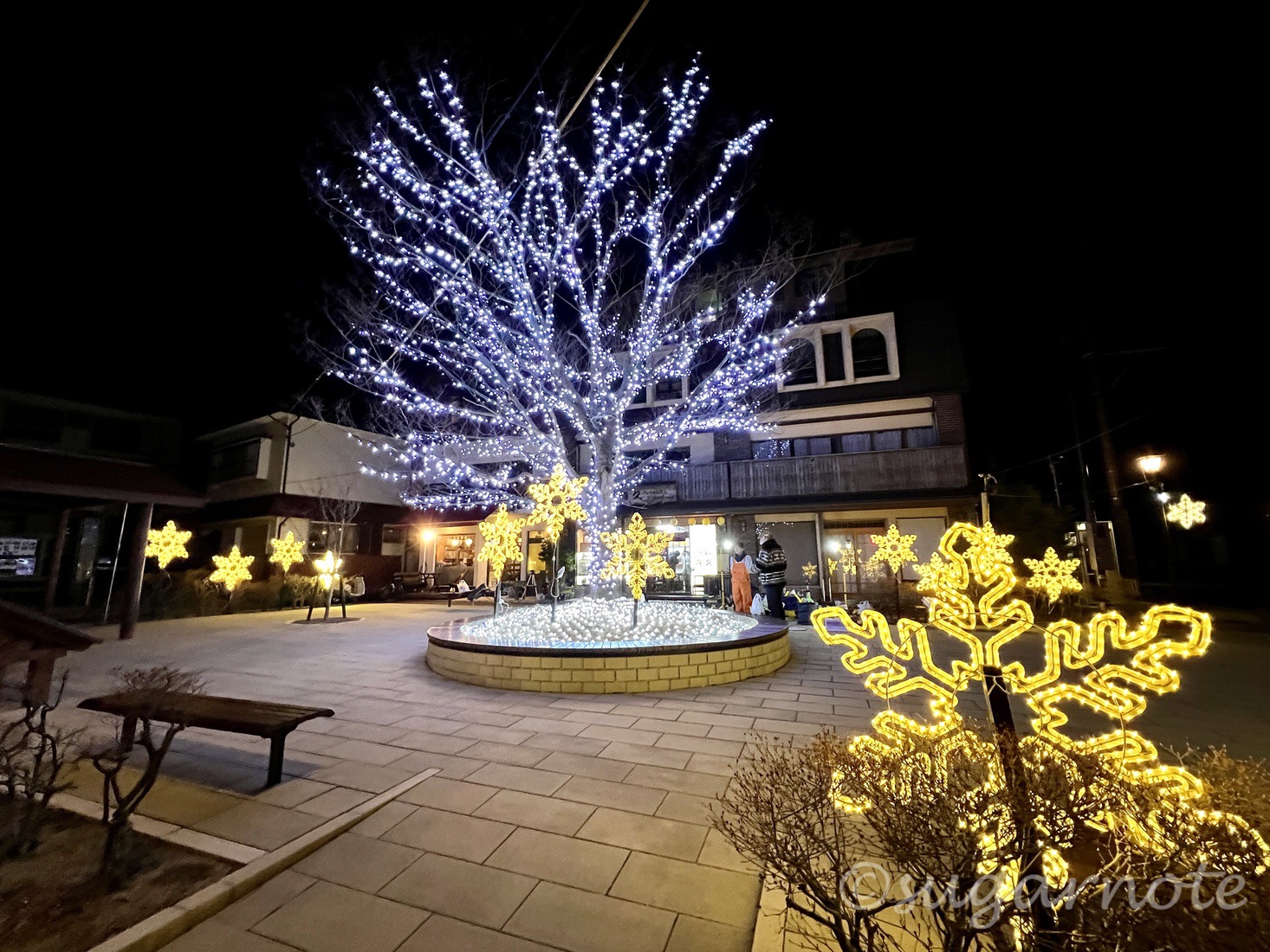 Unzen Keyaki Hiroba illumination | SUGAR NOTE